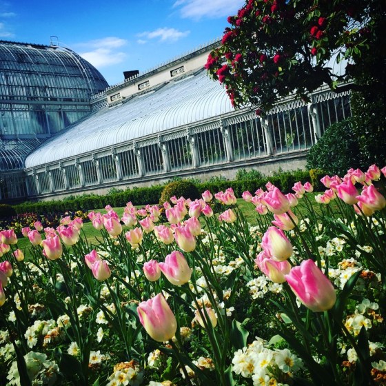 Exploring Belfast Botanic Gardens
