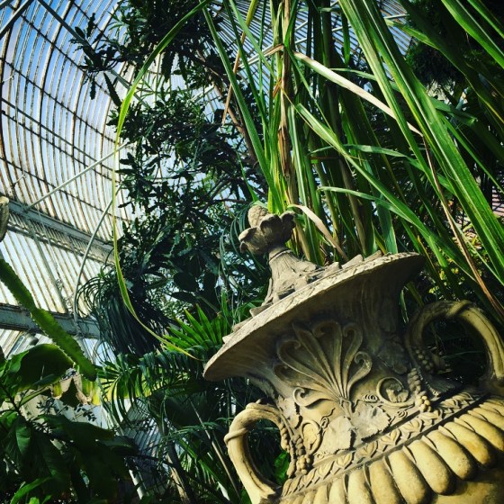 Exploring Belfast Botanic Gardens