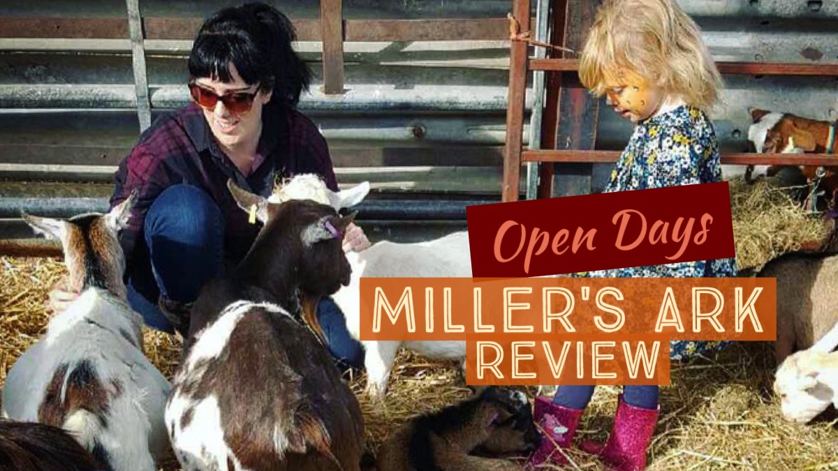 Miller’s Ark Autumn Open Day