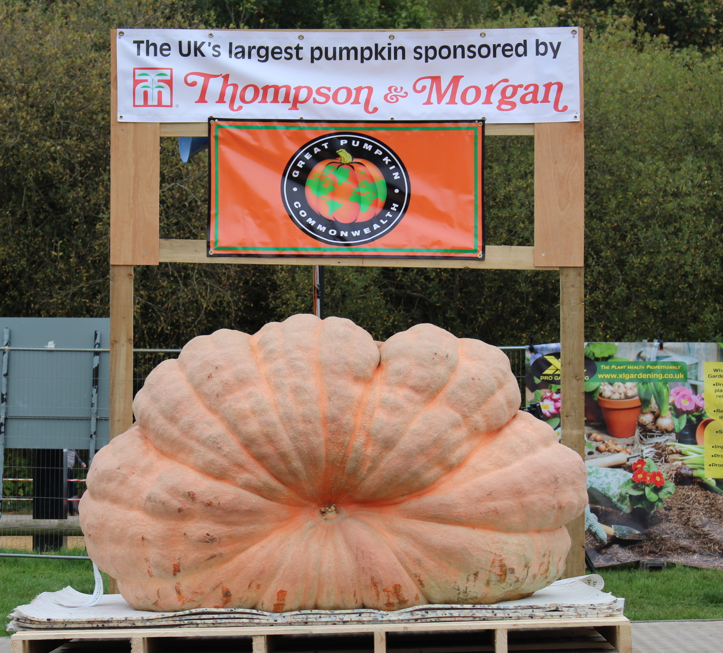 Seeing the UK’s Largest Pumpkin!