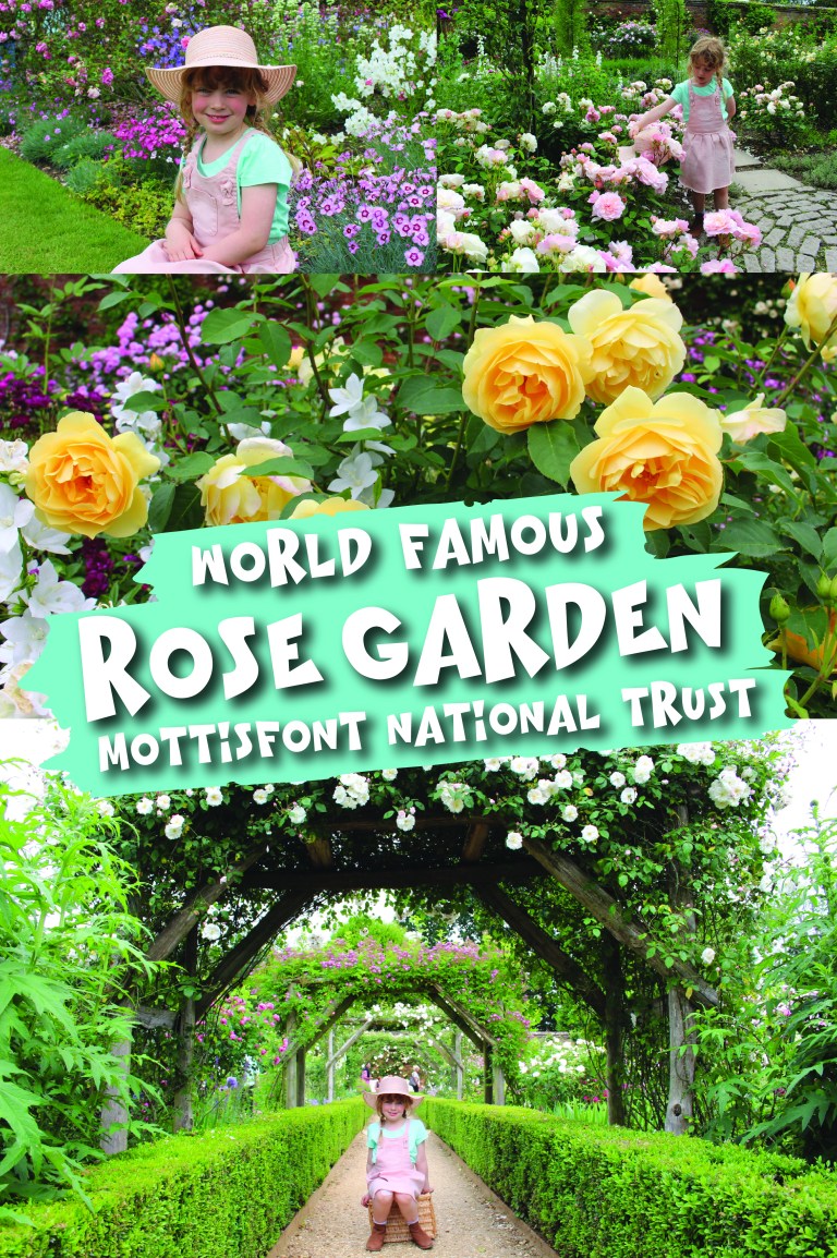 World Famous Roses at Mottisfont, National Trust