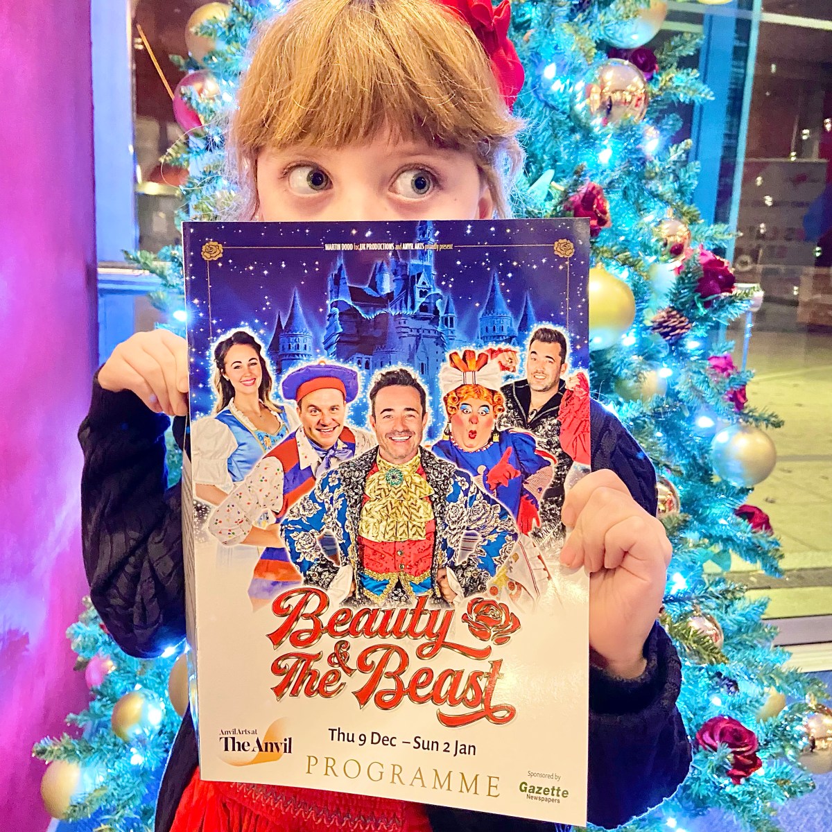 Beauty and the Beast, Anvil Arts Pantomime Review